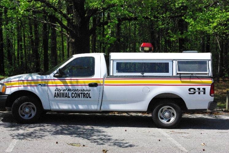 Animal Control – The City of Murphysboro